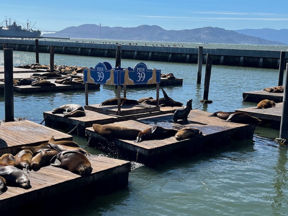 San Francisco mit Kindern: Sehenswürdigkeiten & Tipps