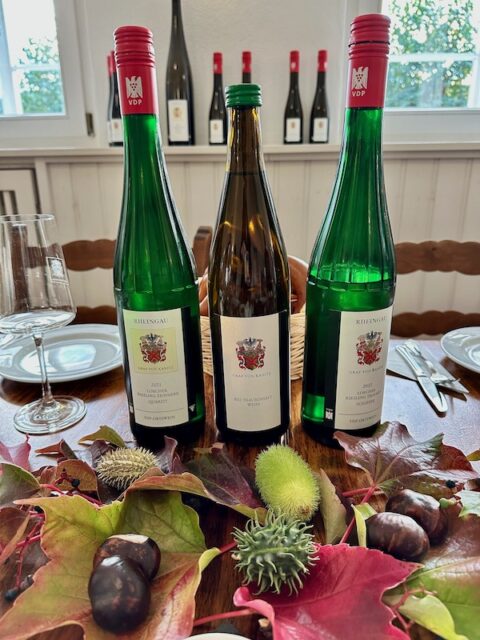 Die 10 schönsten Rheingau Weingüter - Madame Fernweh